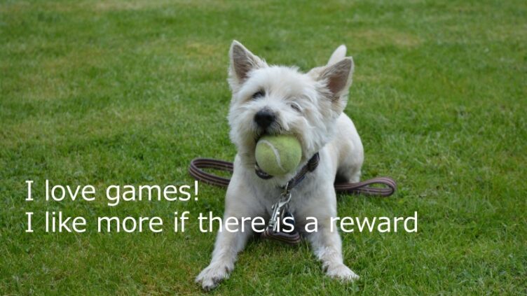 お誕生日おめでとう！ Coconut !! | Cherie*note