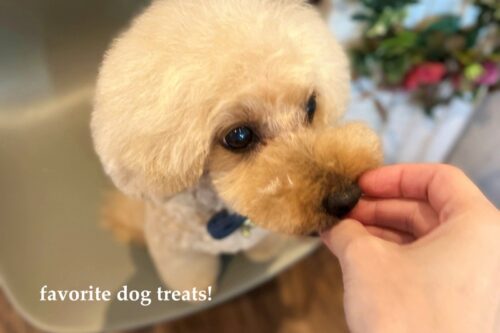 Coconut・可愛い動画 | Cherie*note