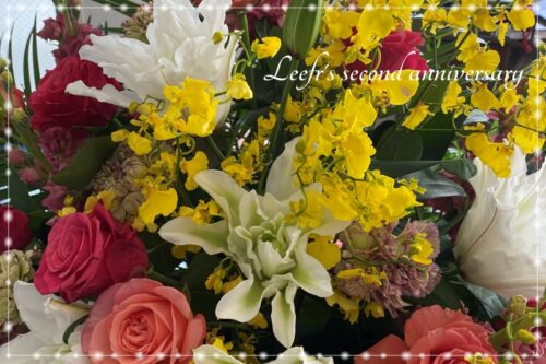 M.シュナ Leef・二年祭 | Cherie*note