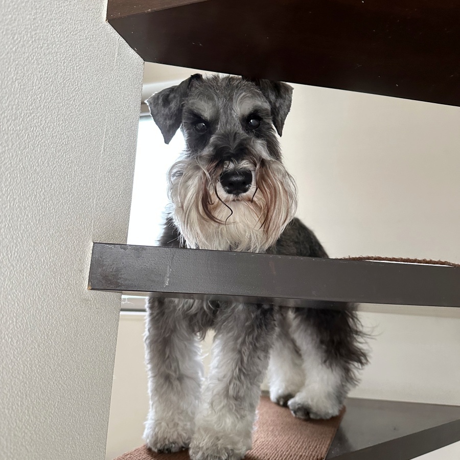 返事を期待するのは、無理難題？ | Cherie*note