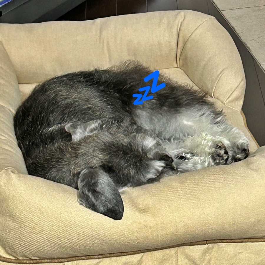 トリミング・1ヶ月で100g 減量成功 | Cherie*note