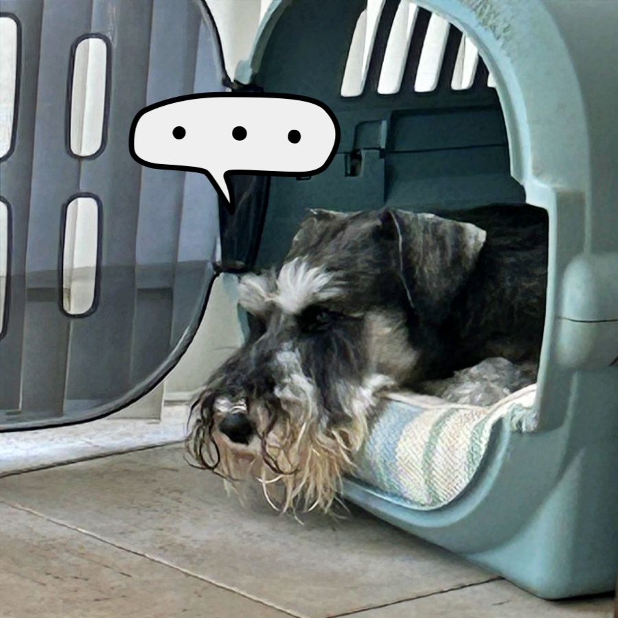 Dear・外耳炎らしい・・ | Cherie*note