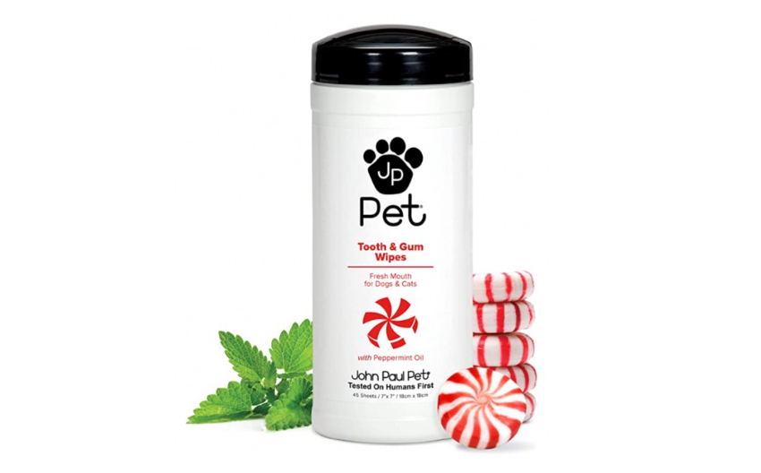 Coconutくん！ 歯磨きどうしよう？ | Cherie*note