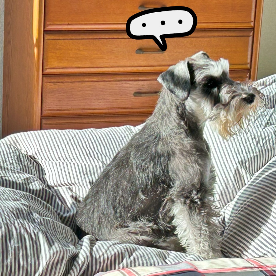 M.シュナ Dear・我が道を行く2世⁈ | Cherie*note