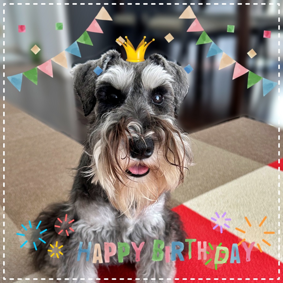 Happy Birthday！ to Dear | Cherie*note