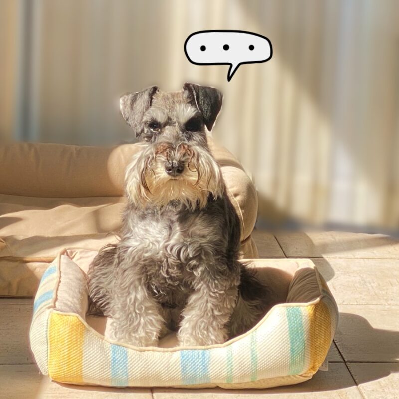 LOVE・お日様 💕 | Cherie*note