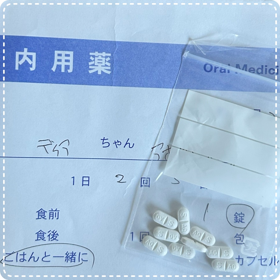 M.シュナ Dear・外耳炎？？ | Cherie*note