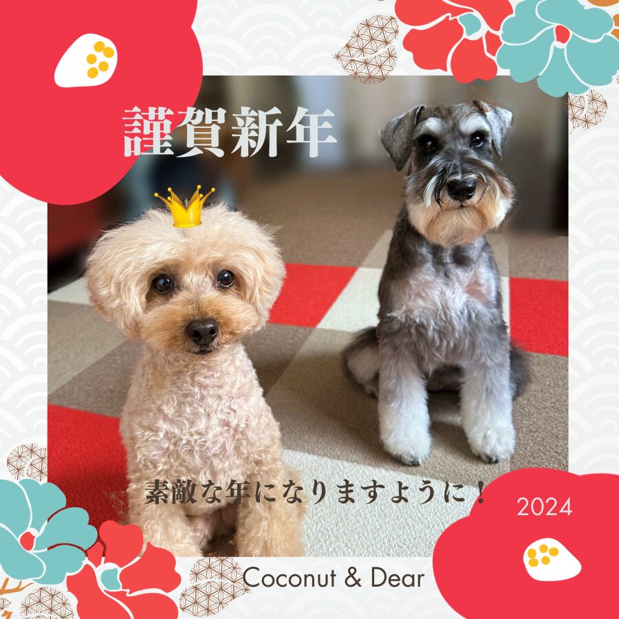 素敵な年になりますように 🐉 | Cherie*note