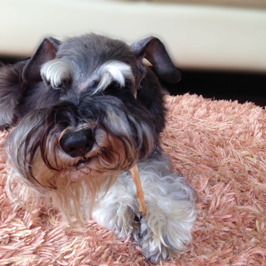 M.シュナ Leef ・三回忌 | Cherie*note