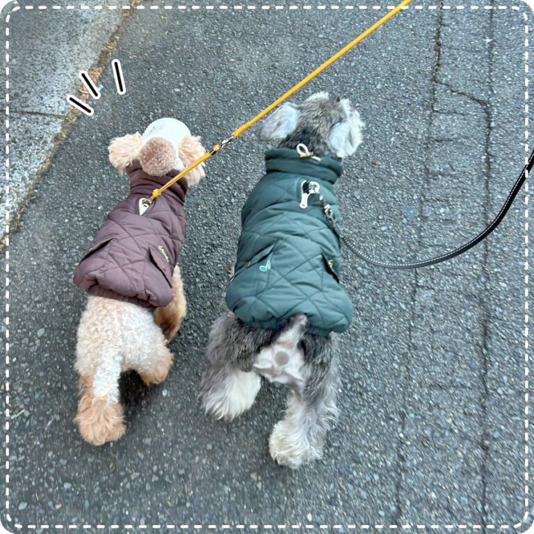 M.シュナ Dear のコート | Cherie*note