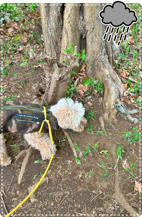 春の天気は変わりやすい⁈ | Cherie*note