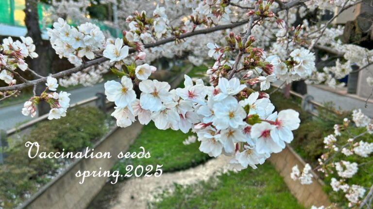 春の予防シーズン | Cherie*note