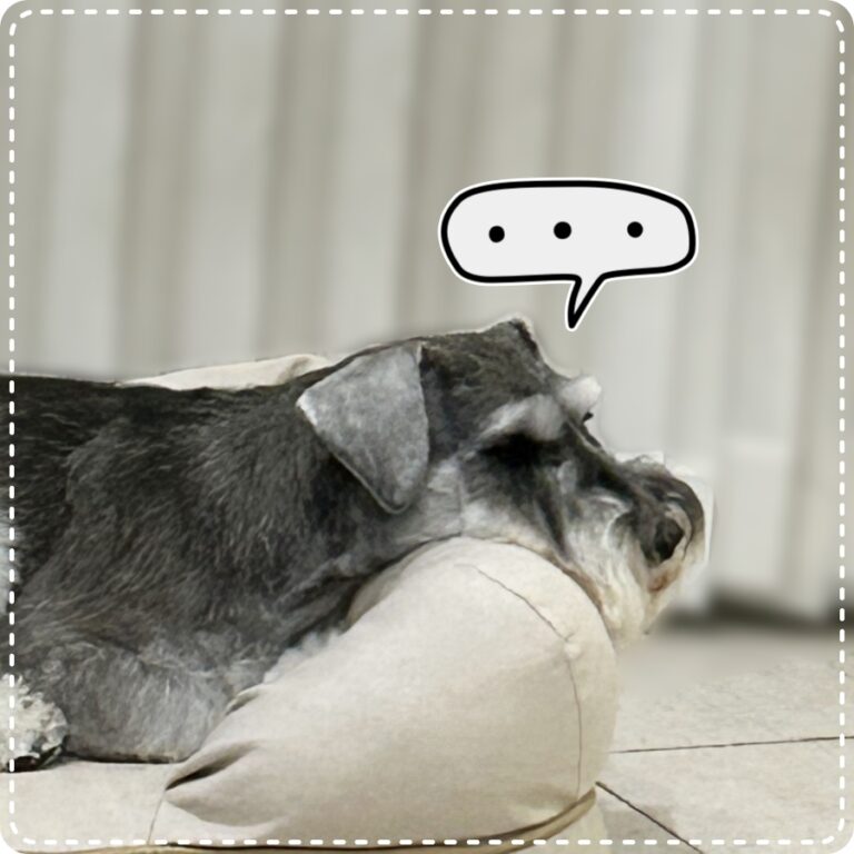 M.シュナ Dear・外耳炎 | Cherie*note