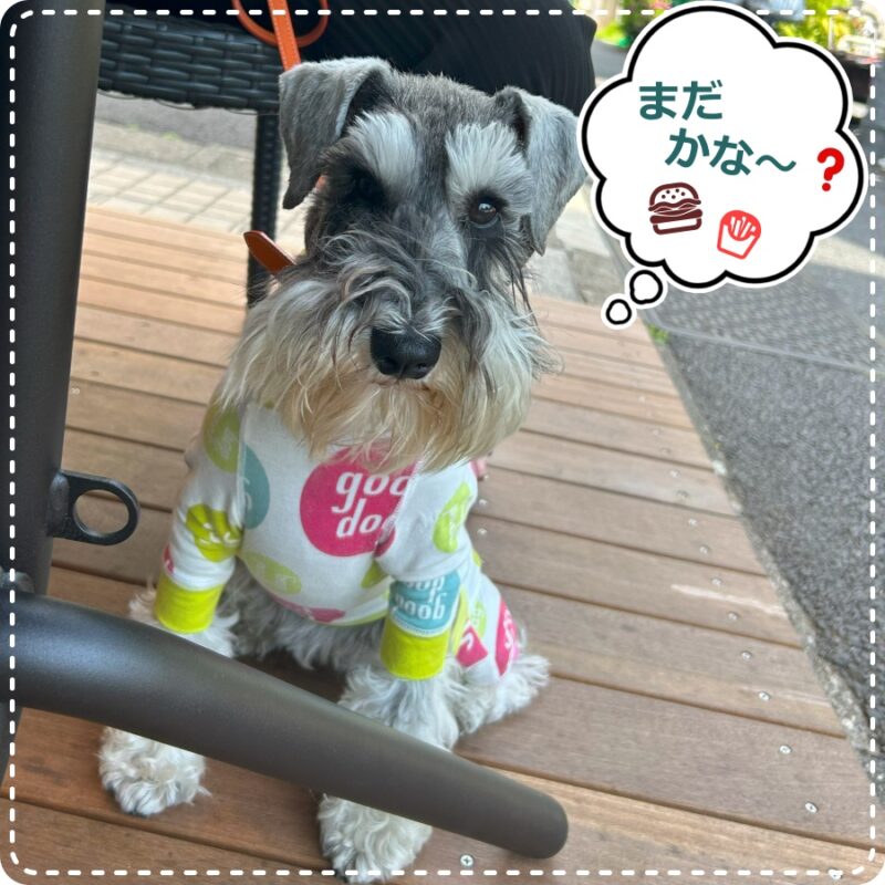 新緑のお散歩 | Cherie*note