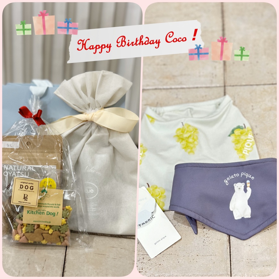 Happy Birthday Coconut！ | Cherie*note