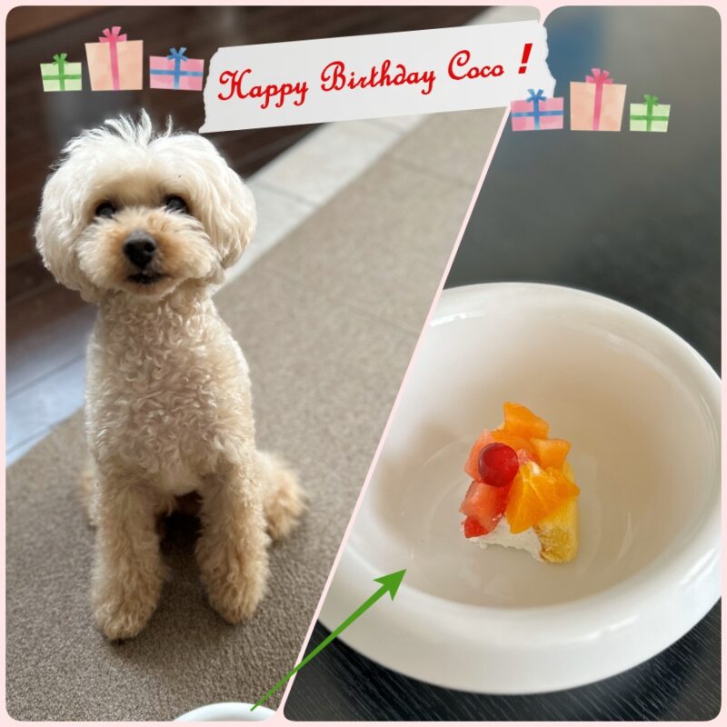 Happy Birthday Coconut！ | Cherie*note